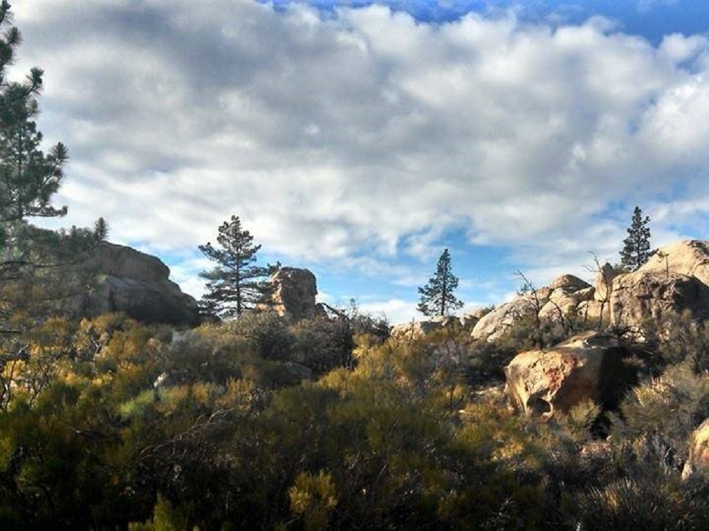 Pathfinder Ranch, Inc