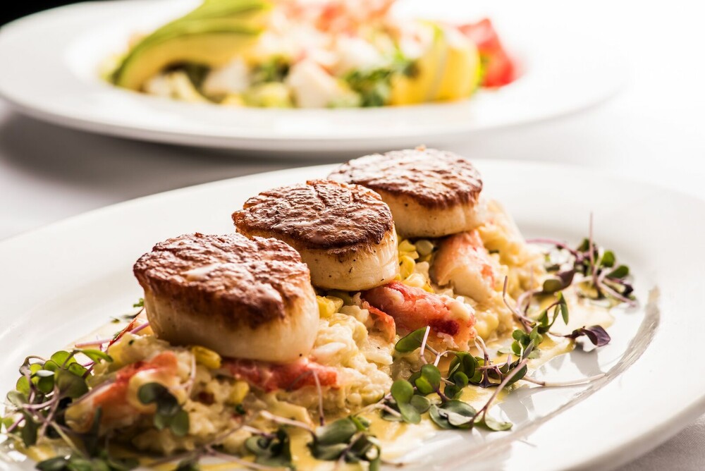 Ditka's Restaurant Group