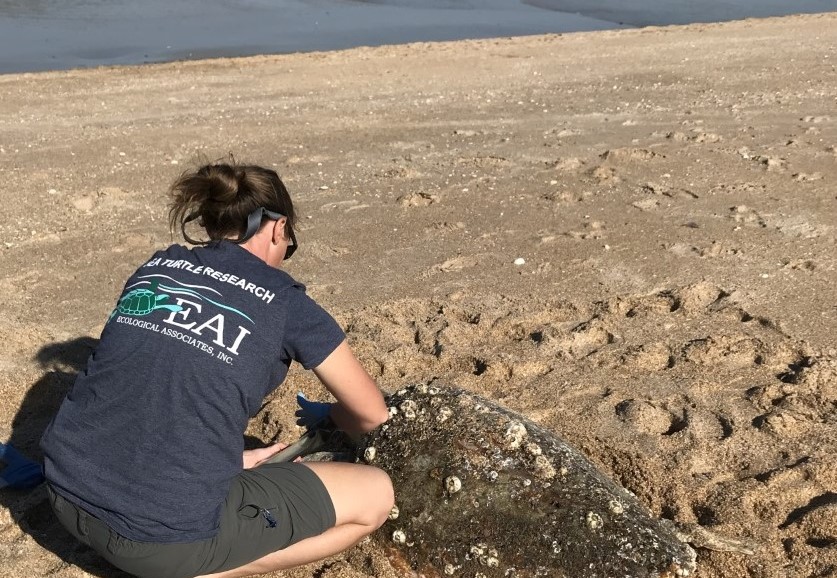 Ecological Associates Inc.