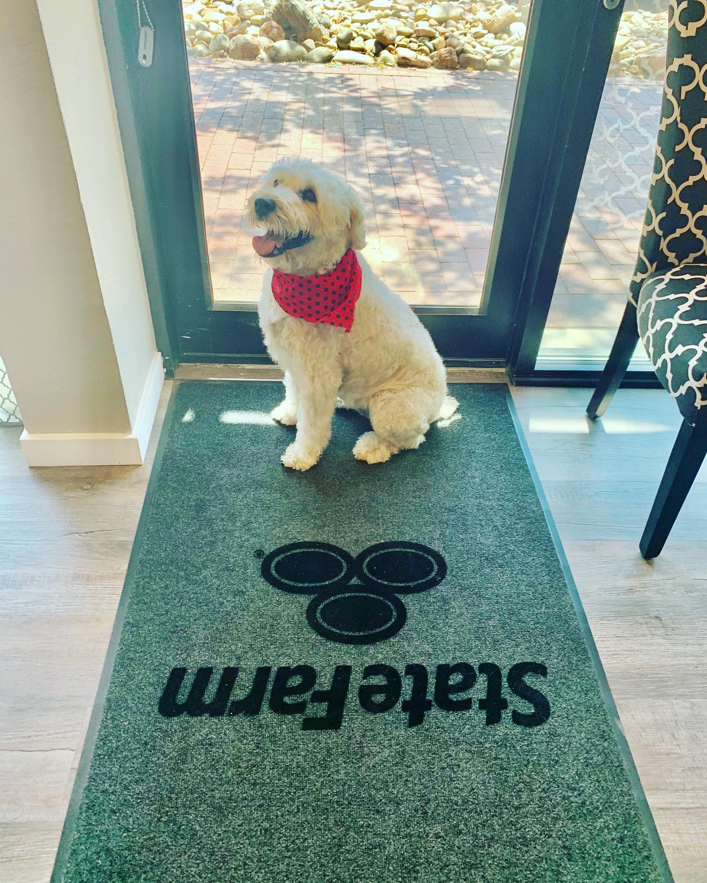 Stephanie Sponder - State Farm Agent