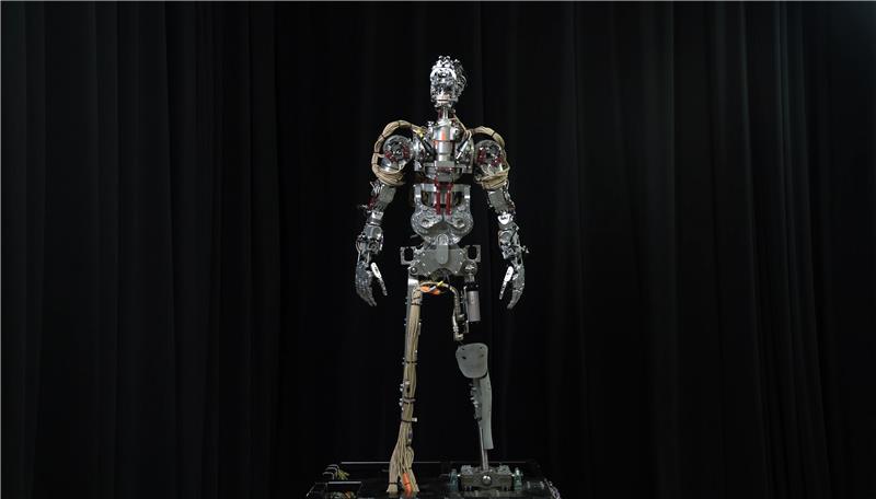 Animax Designs, Inc.